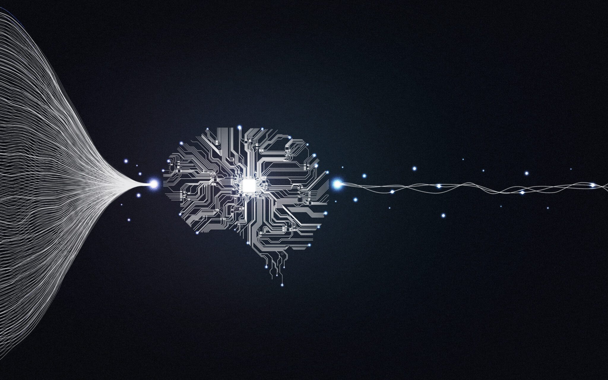 Digital Marketing, Analytics, and Data Science Consulting | Cardinal Path